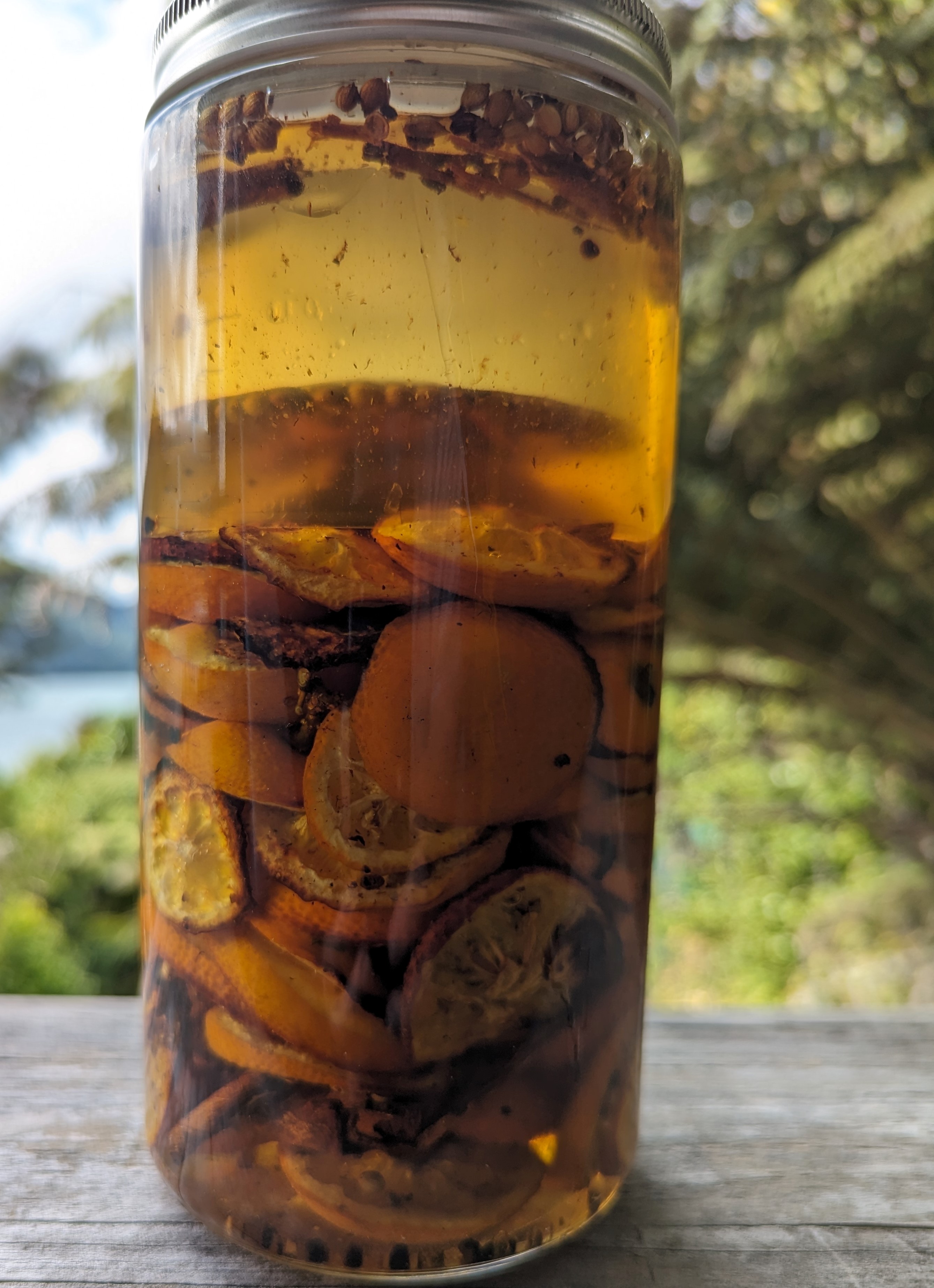 Chinotto - Jenny Garing