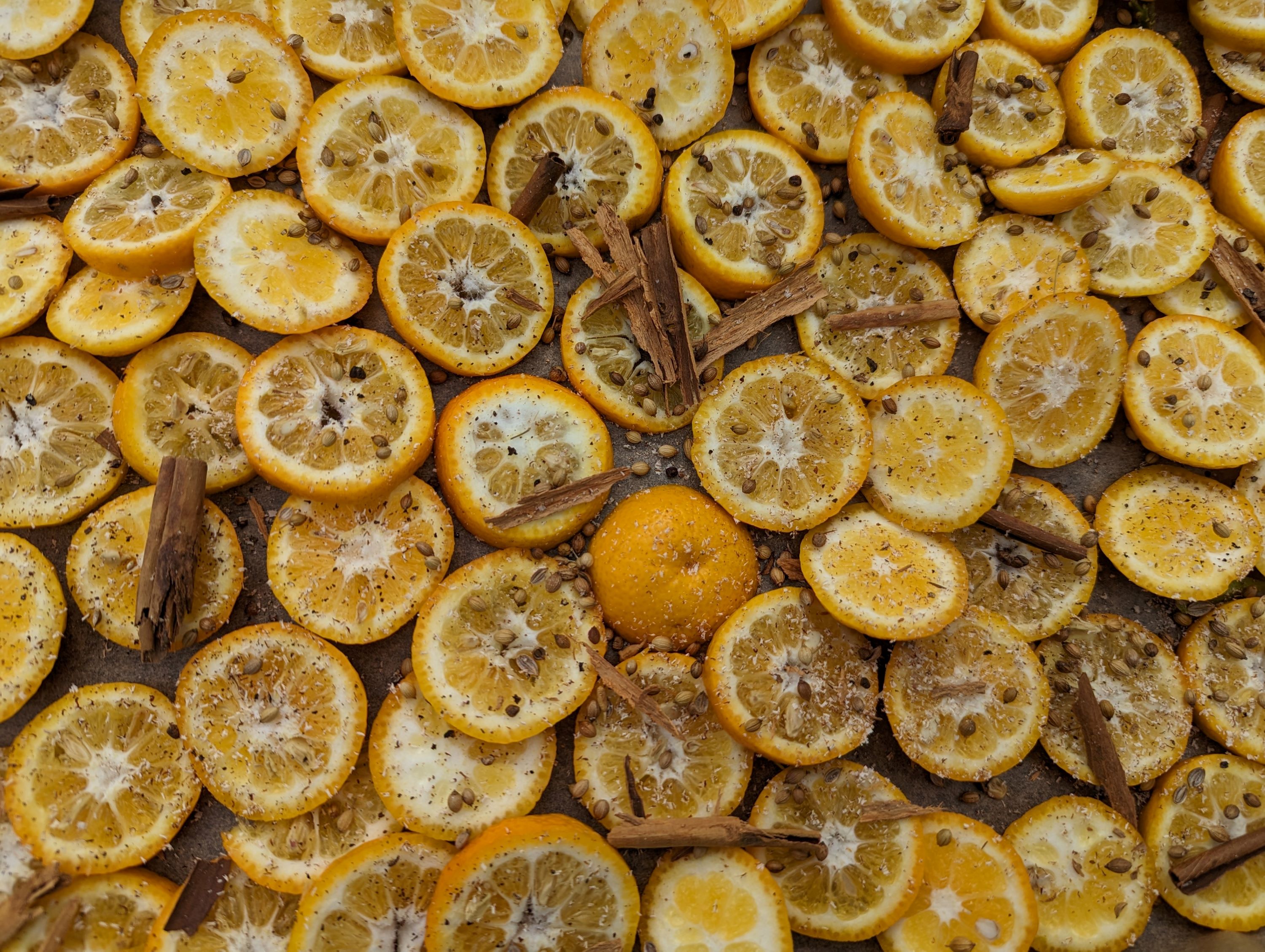 Chinotto - Jenny Garing